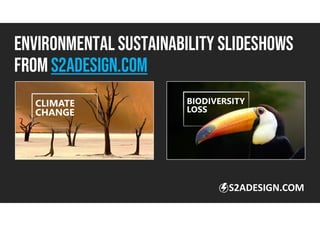 Deforestation Solution | PDF