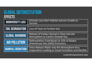 Deforestation Solution | PDF