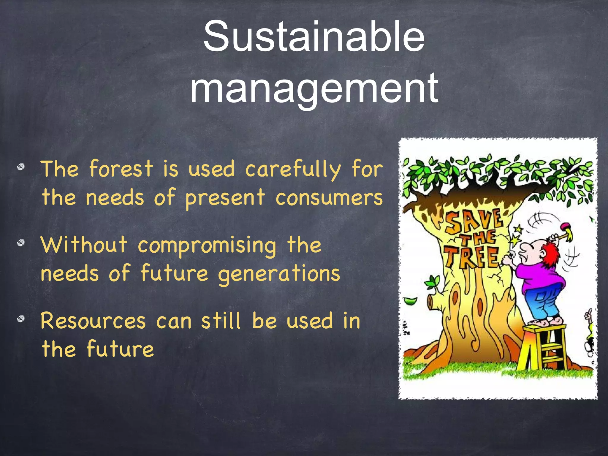 Deforestation Solution And Limitation Ppt