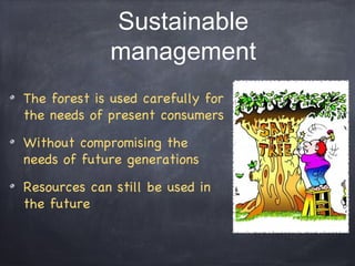 Deforestation solution and_limitation | PPT