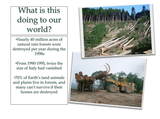 Deforestation & Sustainability | PDF | Agriculture | Industries