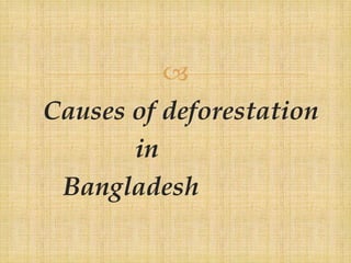 Deforestation in Bangladesh and its solution | PPTX