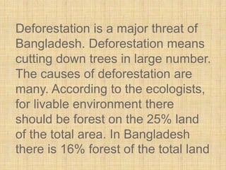 Deforestation in Bangladesh and its solution | PPTX