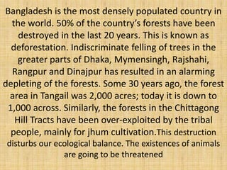 Deforestation in Bangladesh and its solution | PPTX