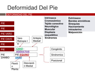 Deformidades del pie | PPTX