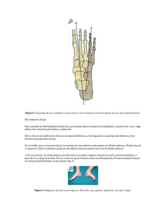 Deformidades del pie | DOCX