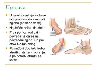 Deformiteti skeleta | PPT
