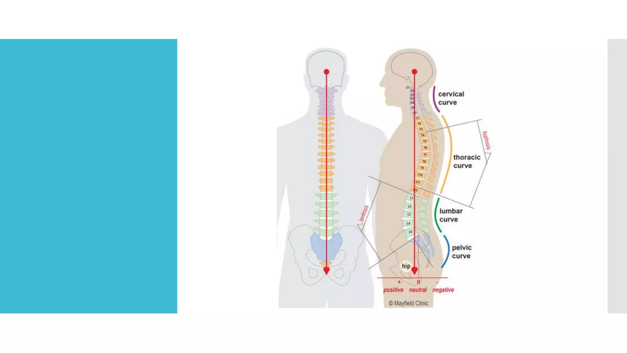 DEFORMITIES OF SPINE.pptx