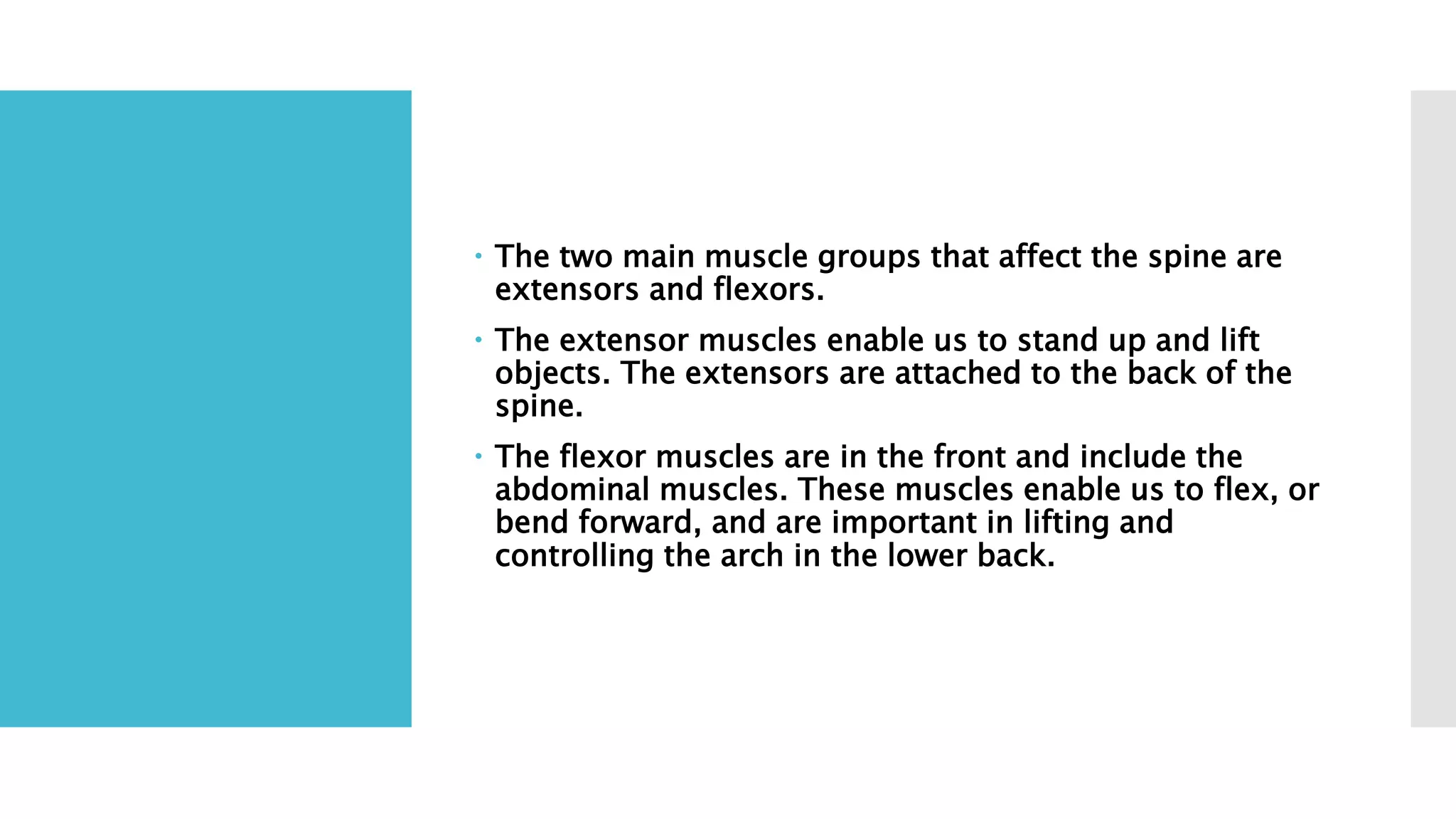 DEFORMITIES OF SPINE.pptx