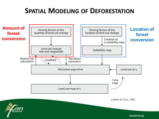 Spatial model of deforestation for the East Region of Cameroon | PDF