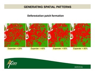 Spatial model of deforestation for Northeast Bolivia | PDF