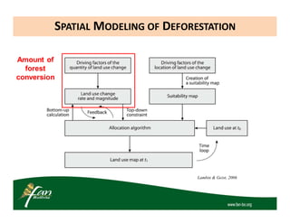Spatial model of deforestation for Northeast Bolivia | PDF