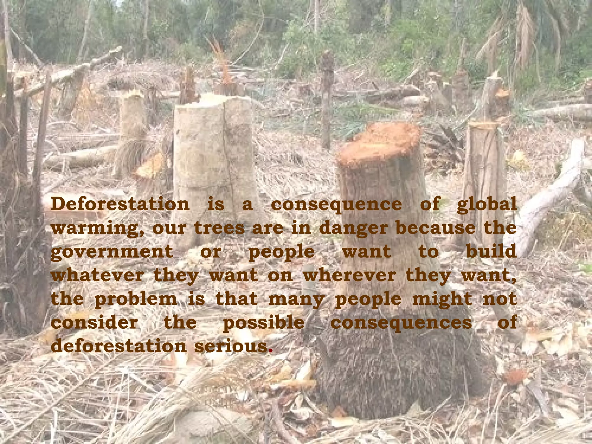 Deforestation | PPT