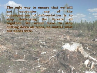Deforestation | PPT