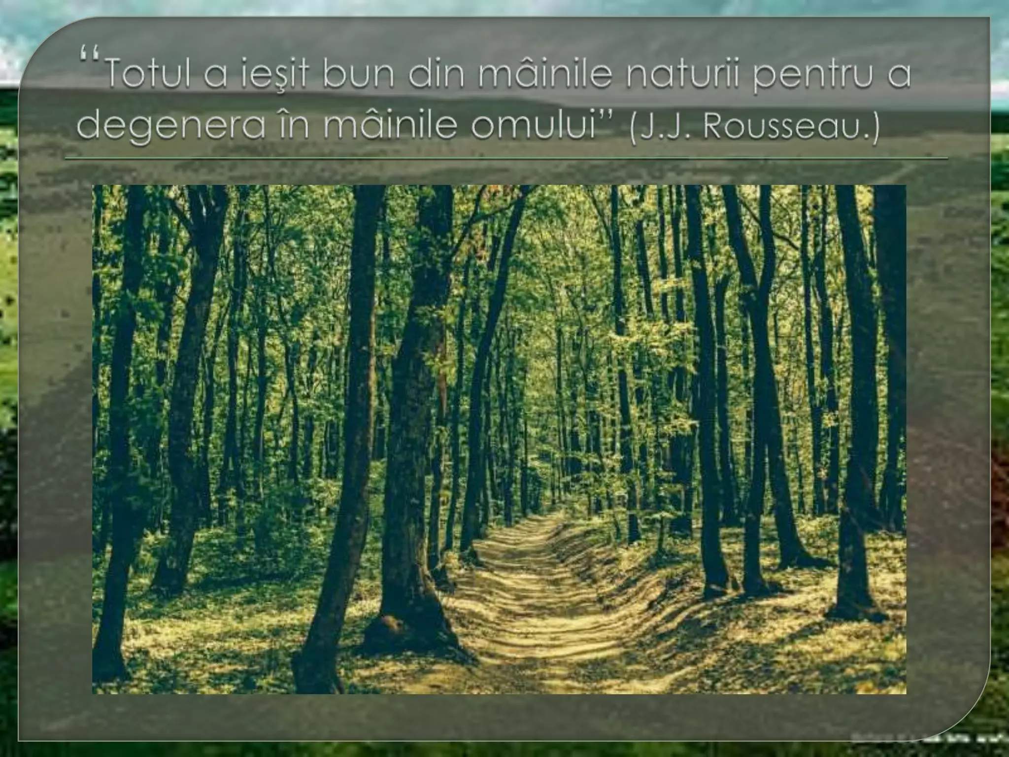 Defrisarea in Romania | PPTX