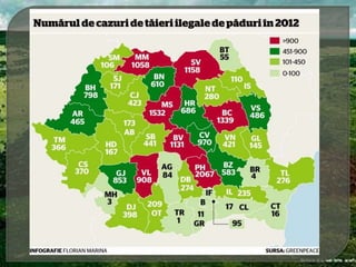 Defrisarea in Romania | PPTX