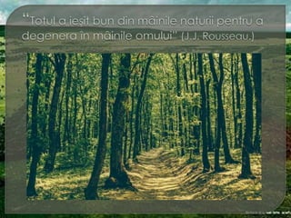 Defrisarea in Romania | PPTX