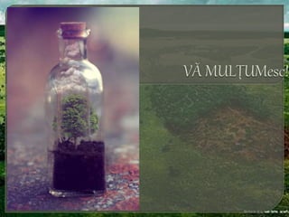 Defrisarea in Romania | PPTX