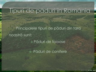 Defrisarea in Romania | PPTX