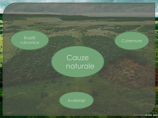 Defrisarea in Romania | PPTX