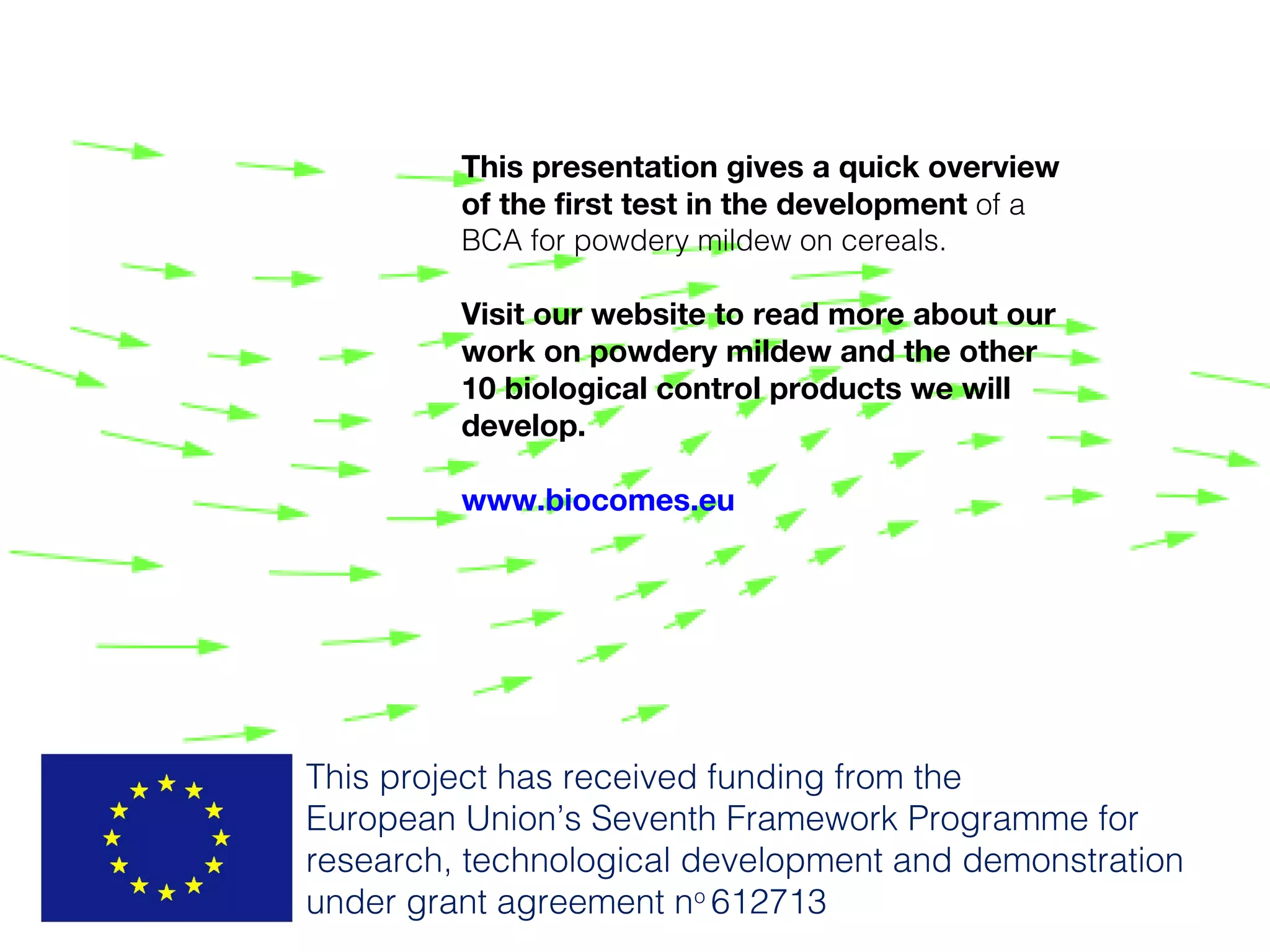 slideshare powdery mildew | PPT