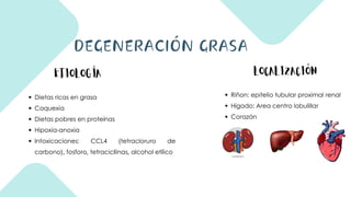 Degeneración e Infiltración.pdf diapositivas | PDF