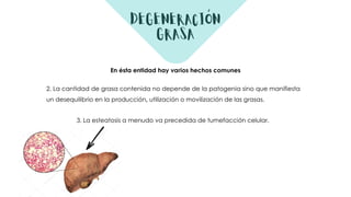 Degeneración e Infiltración.pdf diapositivas | PDF