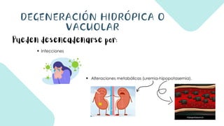 Degeneración e Infiltración.pdf diapositivas | PDF