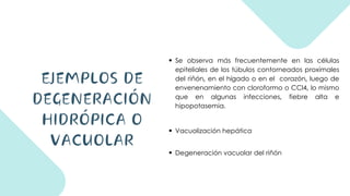Degeneración e Infiltración.pdf diapositivas | PDF