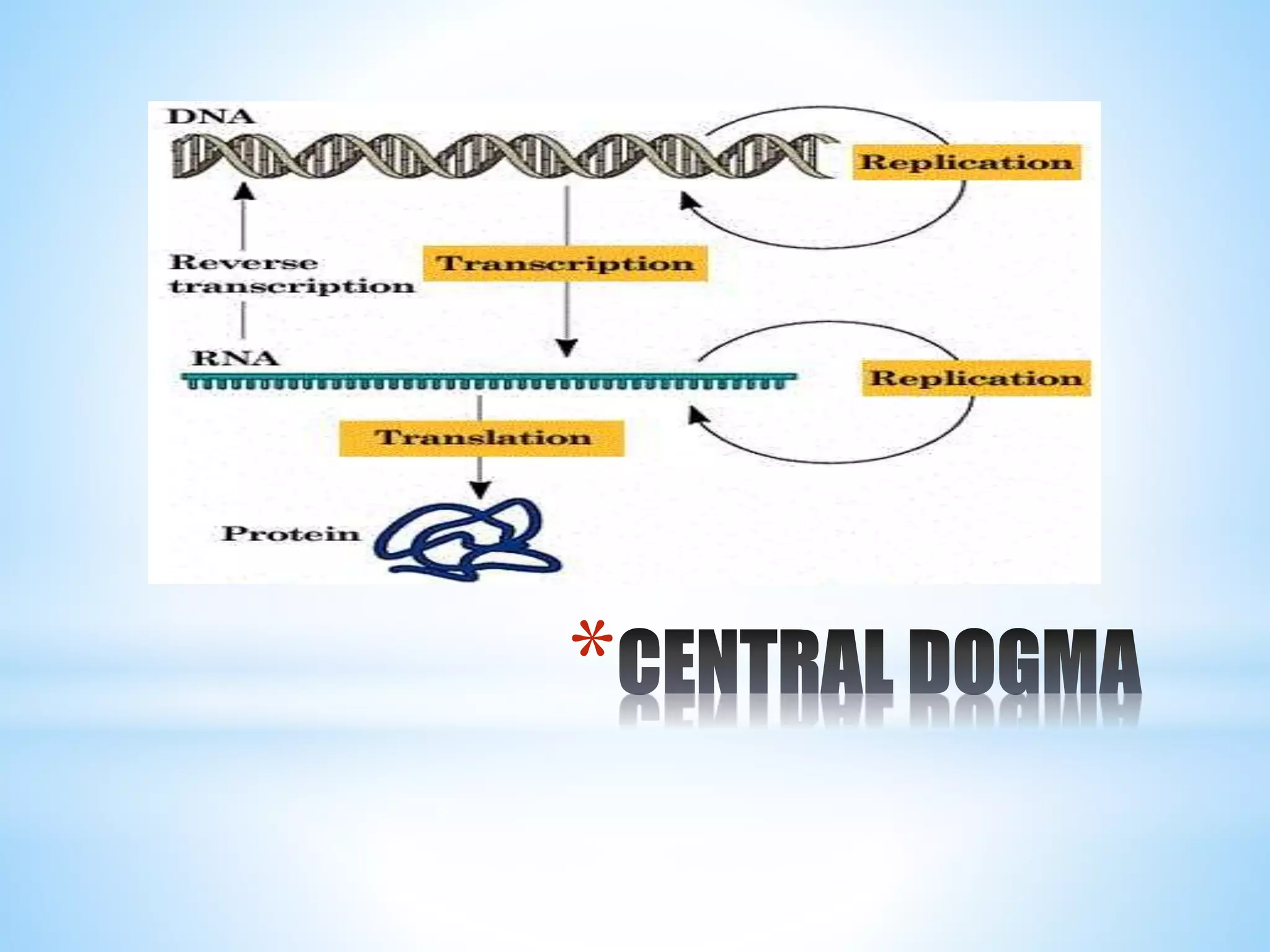 Degeneracy in genetic code | PPTX