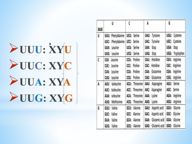Degeneracy in genetic code | PPTX | Genetics | Science