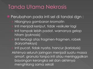 Degenerasi dan nekrosis sel_power point presentation | PPTX