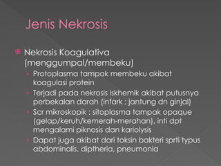 Degenerasi dan nekrosis sel_power point presentation | PPTX
