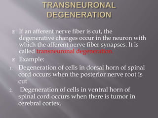 Degenerationandregenerationof 151229165931 | PDF