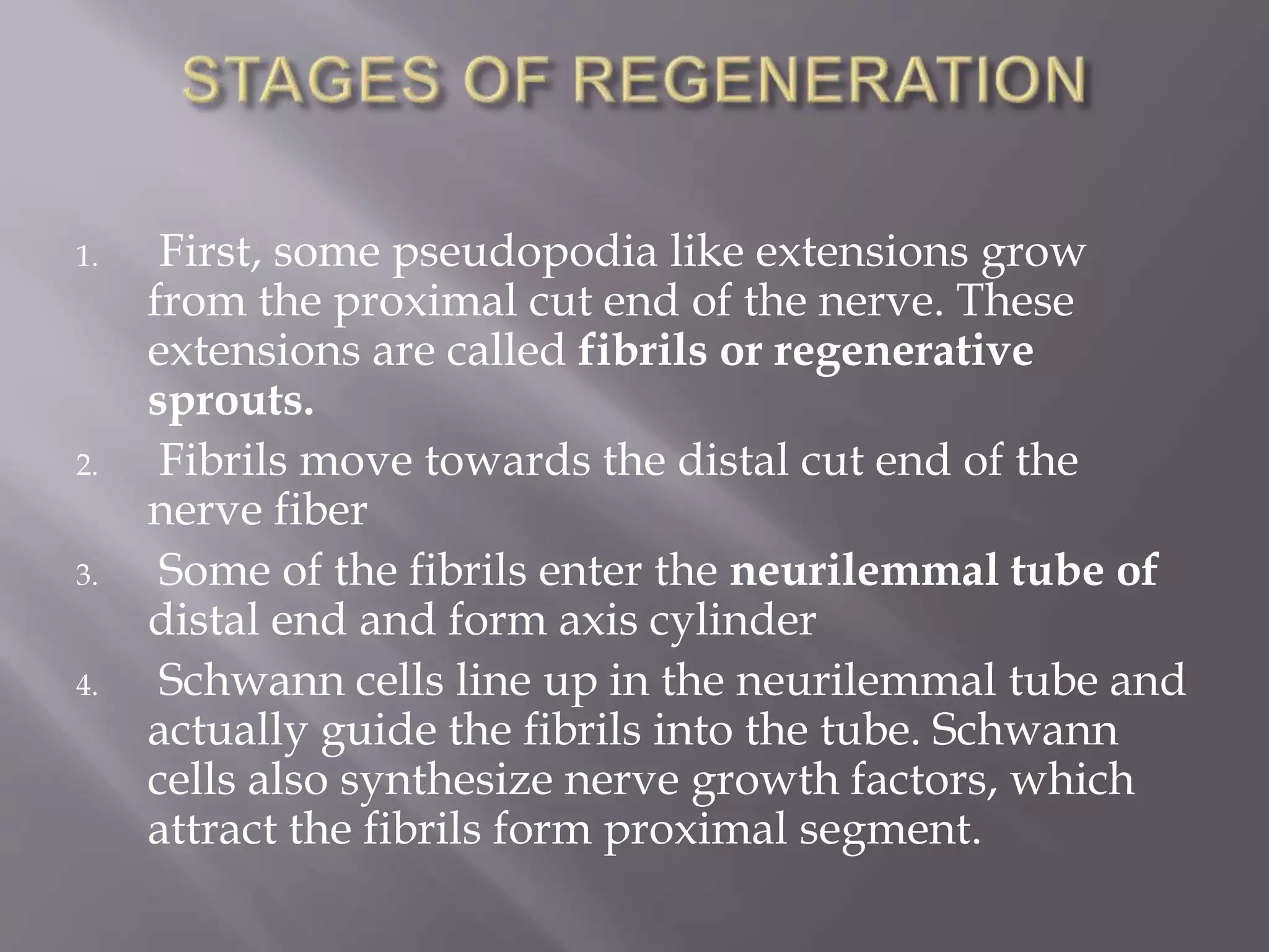 Degeneration and regeneration of | PPTX