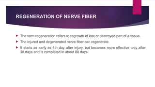 Degeneration and Regeneration of Nerve Fibers.pptx