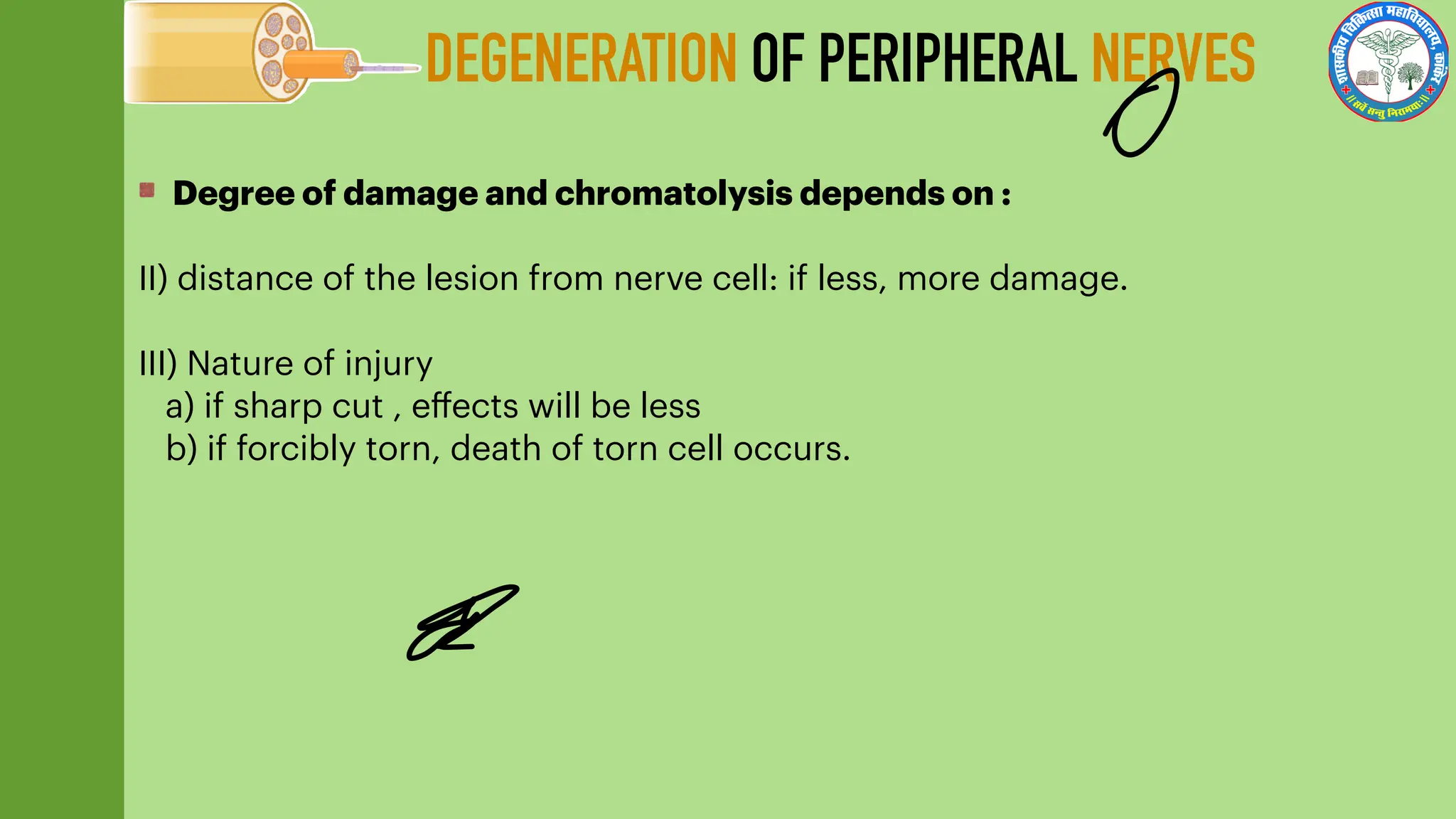 Degeneration and regeneration of peripheral nerves.pdf