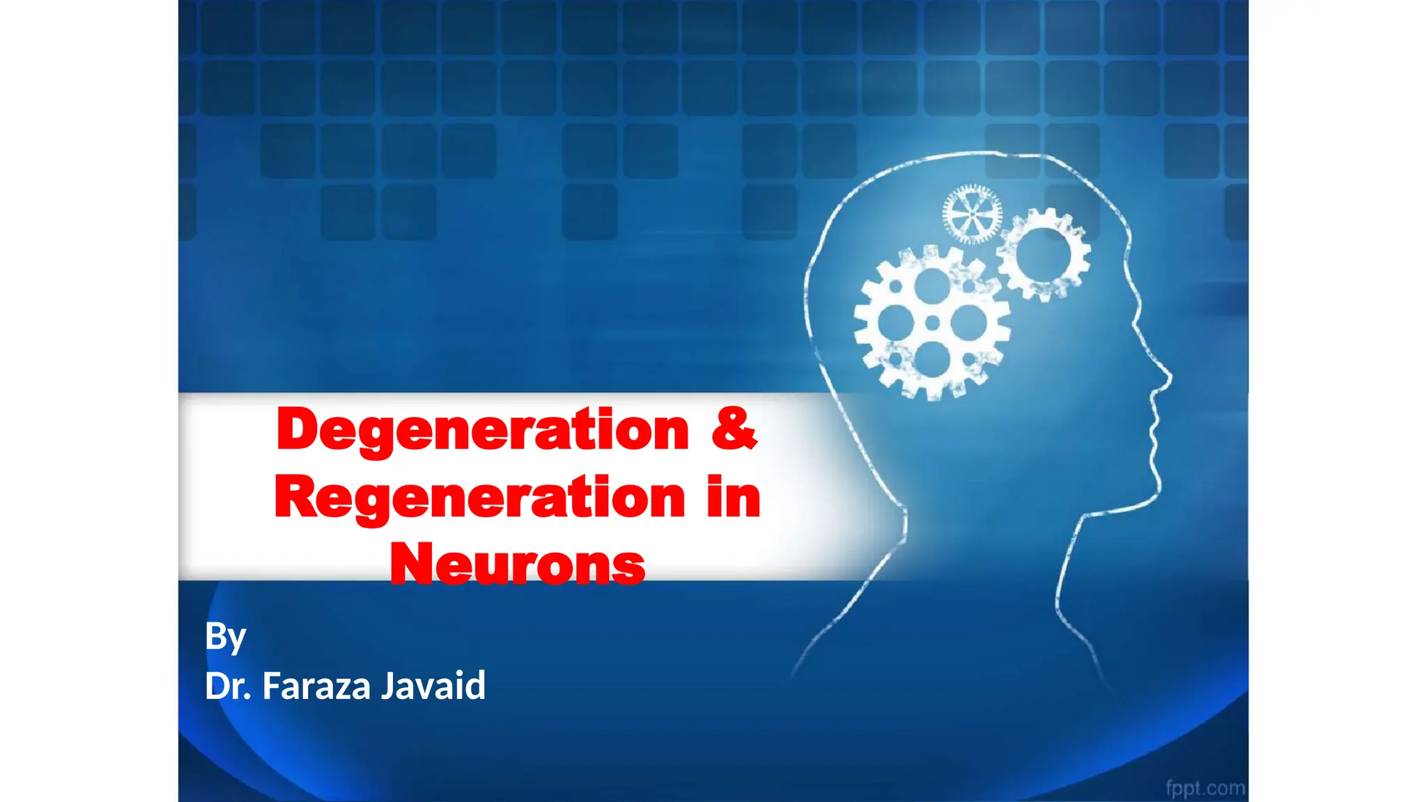 DEGENERATION & REGENERATION IN NEURONS.pptx