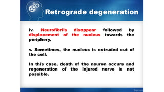 DEGENERATION & REGENERATION IN NEURONS.pptx
