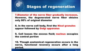 DEGENERATION & REGENERATION IN NEURONS.pptx