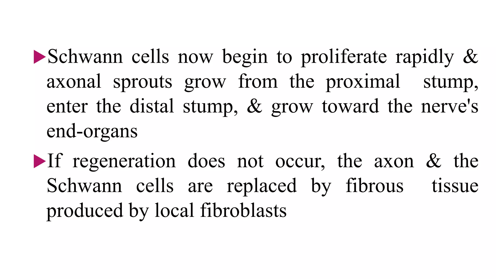 Degeneration & regeneration of nerve fiber.ppt by Dr. PANDIAN M. | PPT