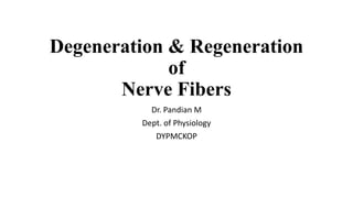 Degeneration & regeneration of nerve fiber.ppt by Dr. PANDIAN M. | PPT