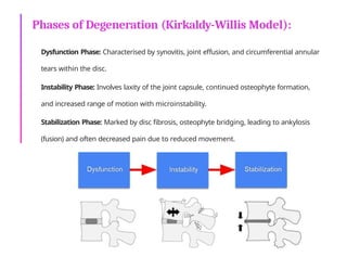 Degenerative-Joint-Disease-DJD-Cervical-Spondylosis-A-Comprehensive ...