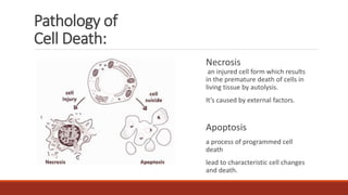 Degenerative disorder | PPTX