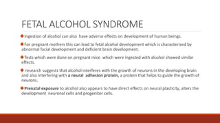 Neurological Disorders | PPT