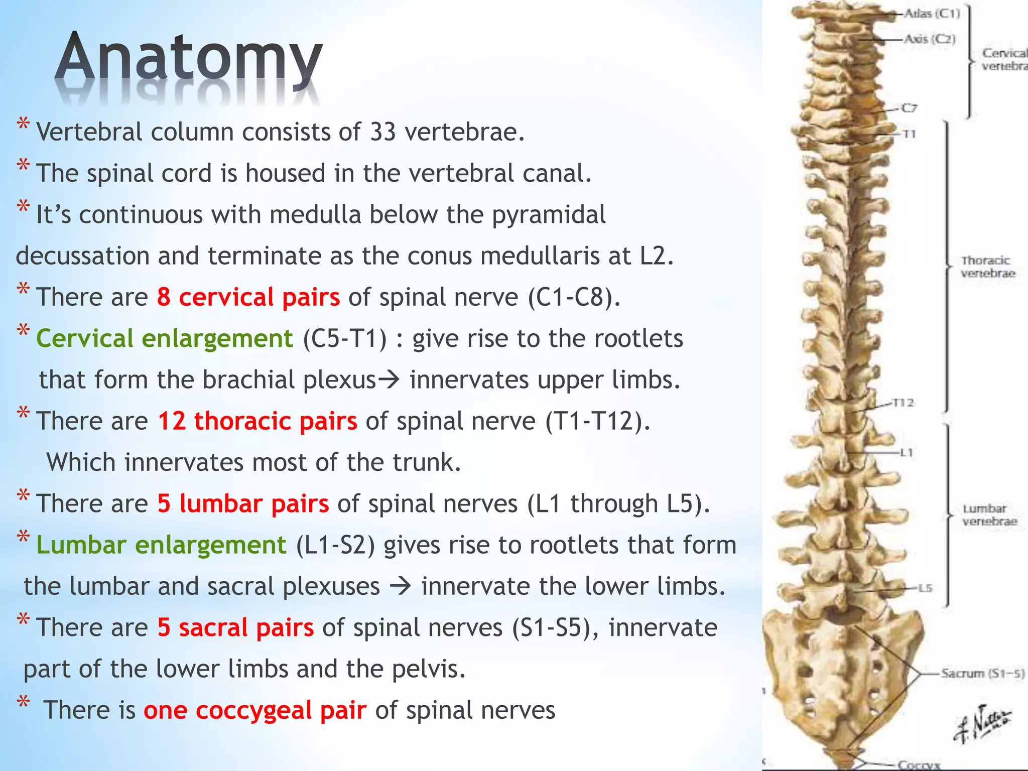 Degenerative spine | PPTX