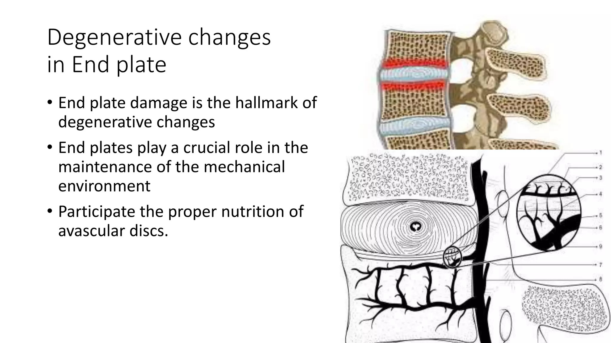 Degenerative Spine Disease.pptx