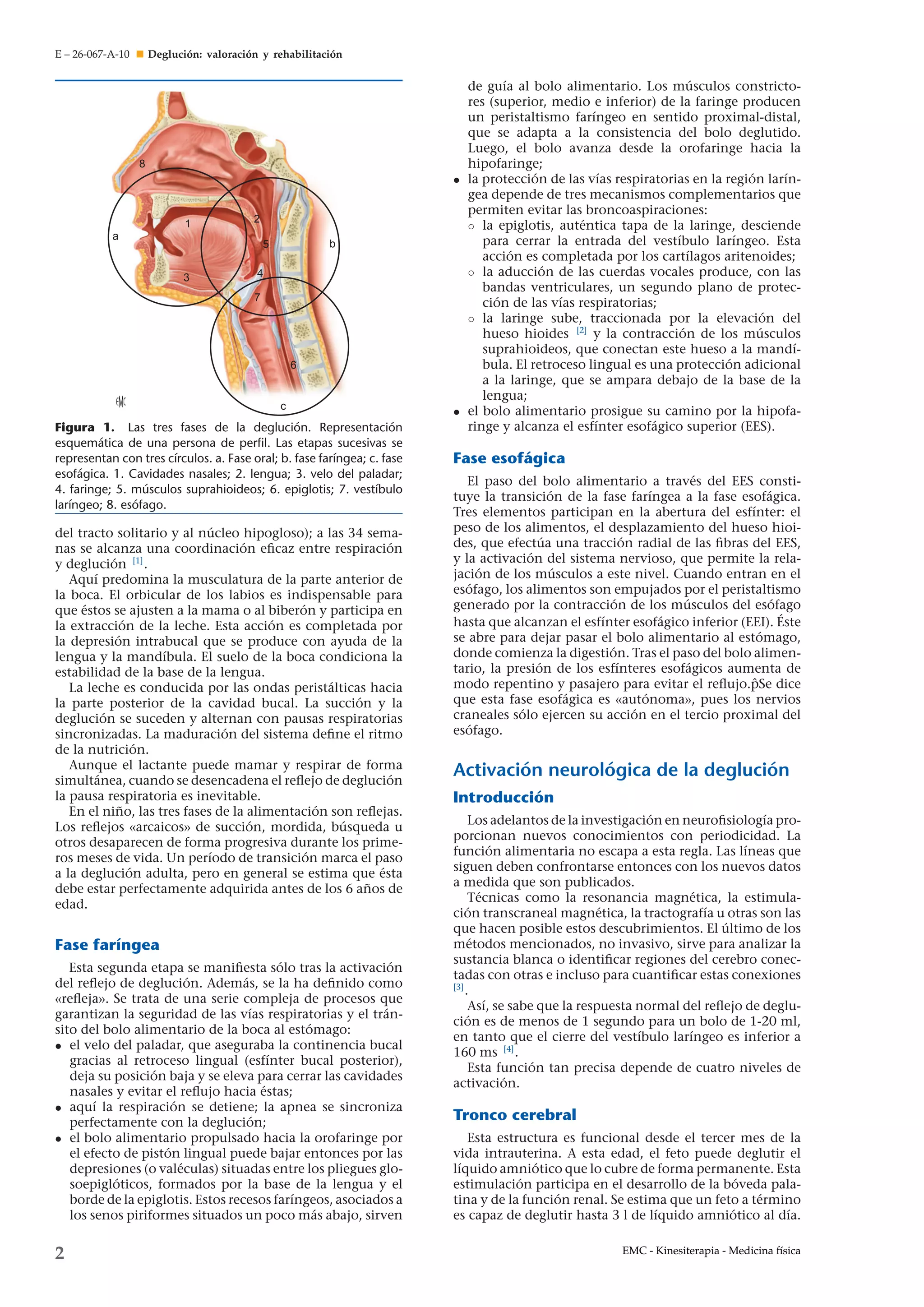 Deglución valoración y rehabilitación | PDF