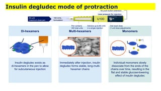 Degludec Insulin therapy in children | PPTX