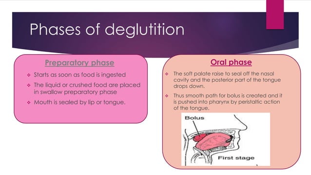 Deglutition | PPTX